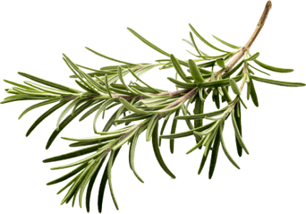 Home - Krispy Samosas